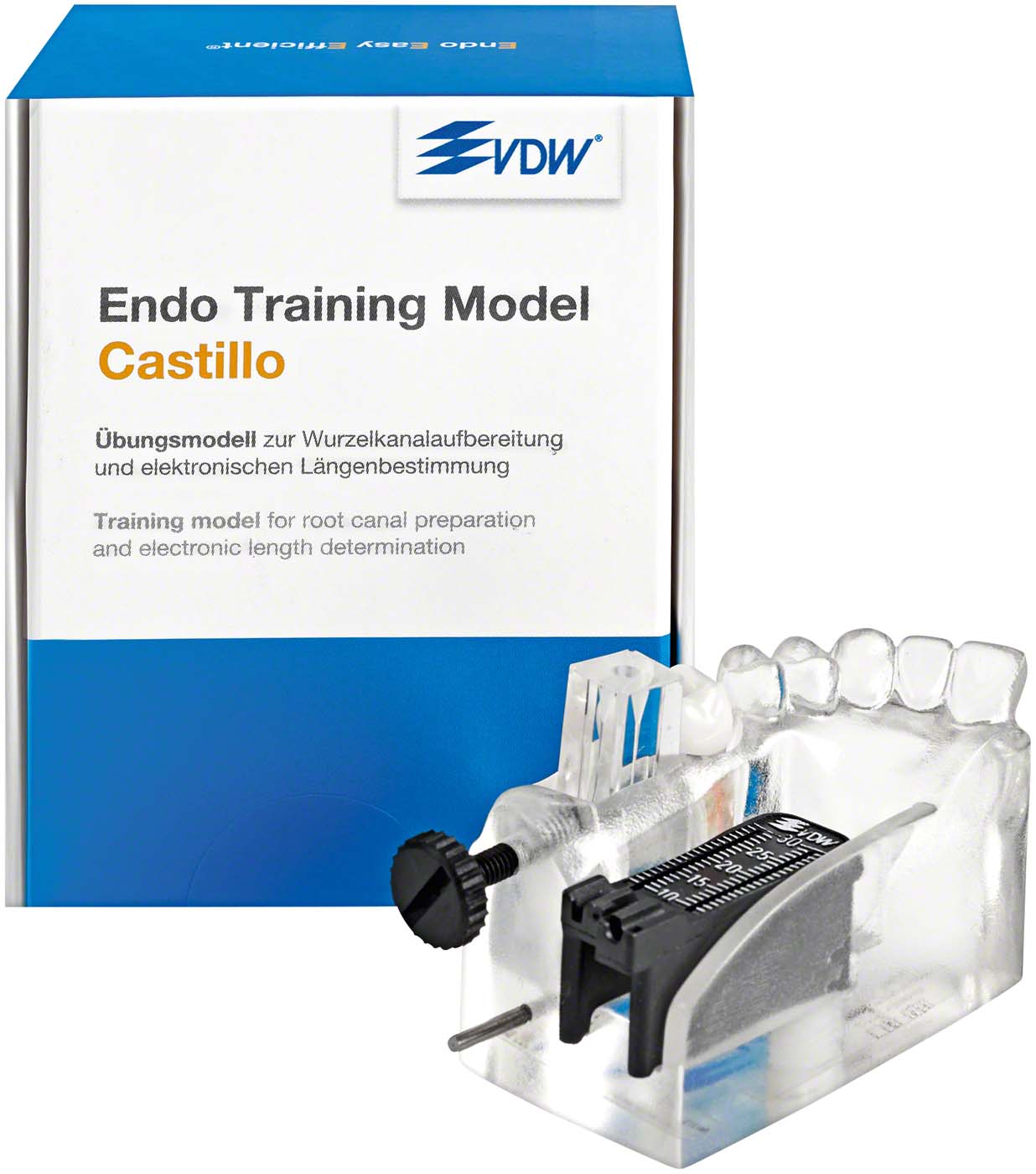 Endo Training Model Castillo | Sonstiges | Praxisorganisation | Praxis ...