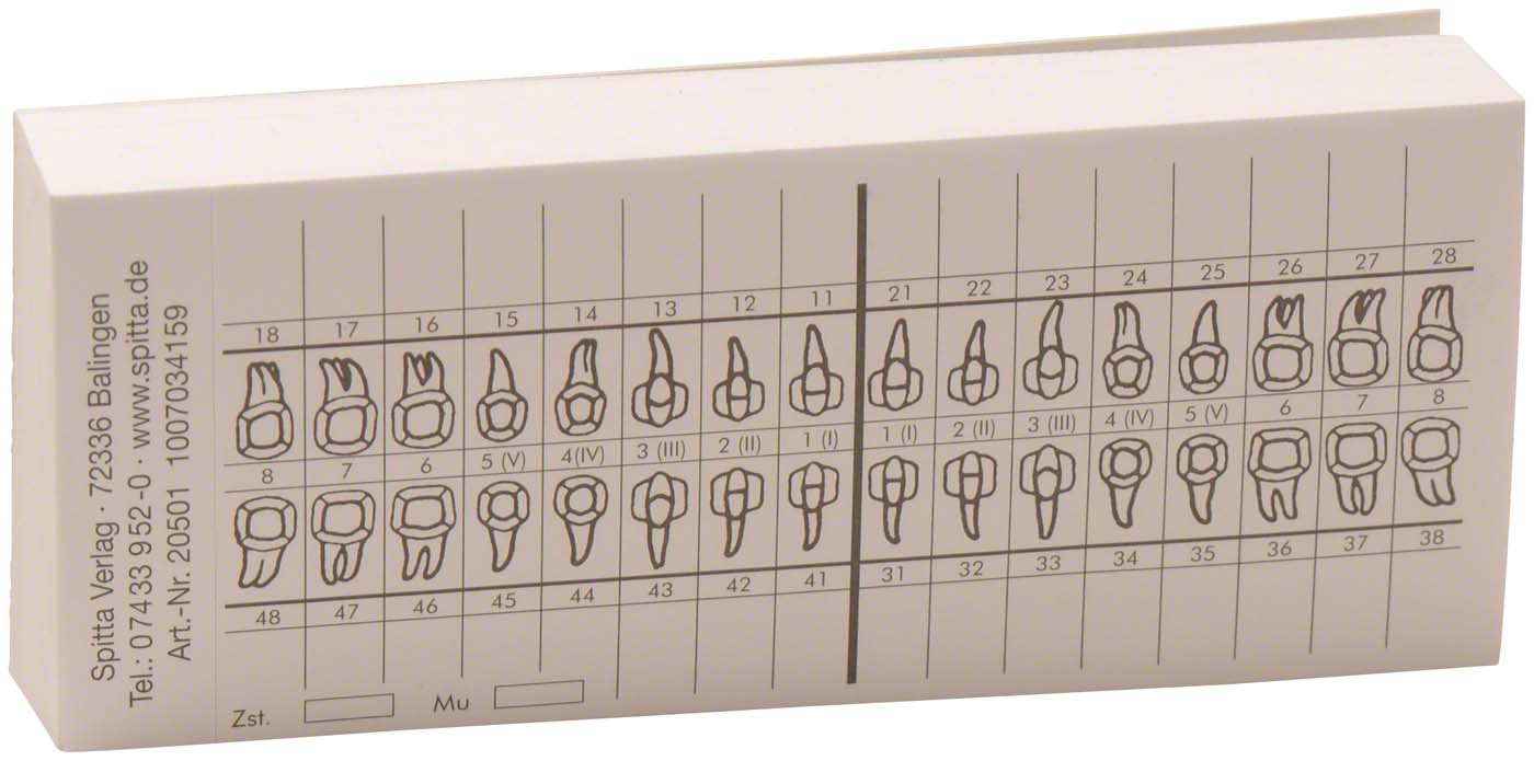 Zahnschema SK **Block** 100 Stück | Organisationssysteme ...
