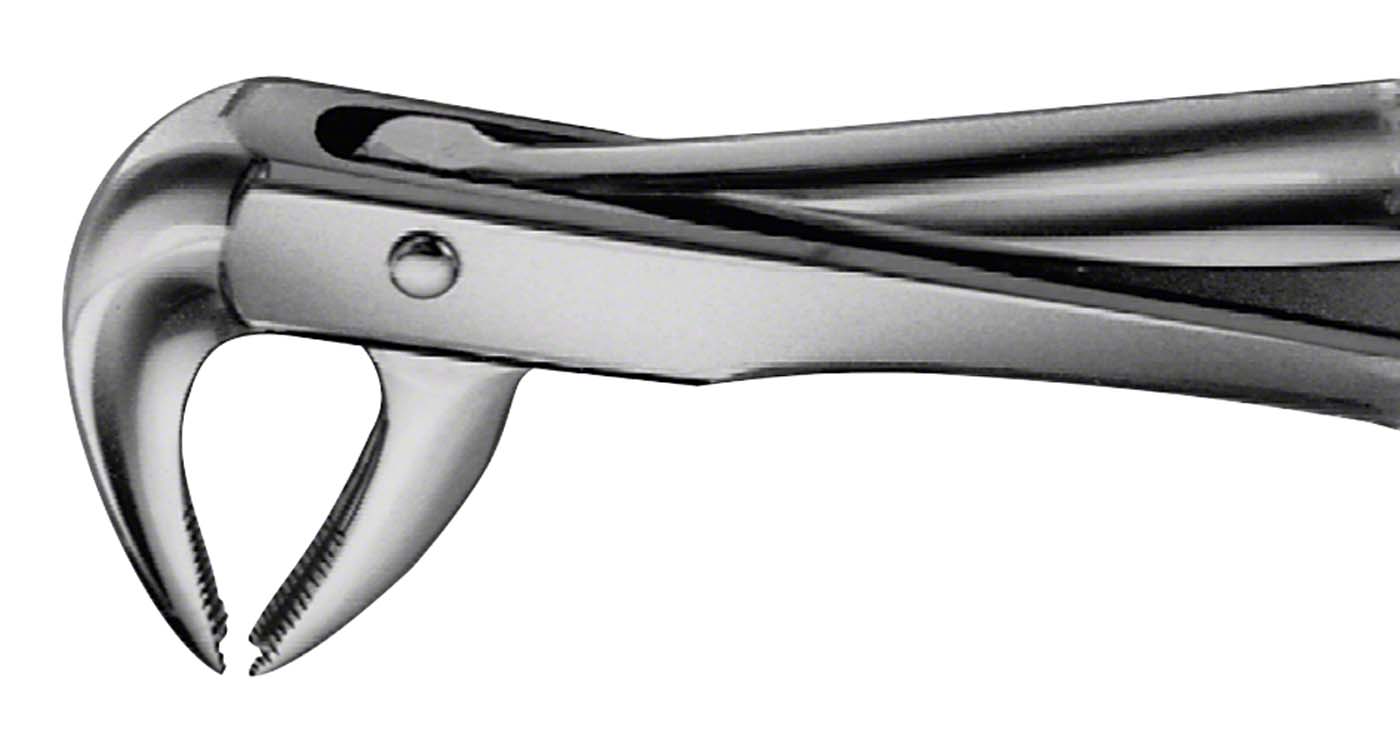 Anatomica-Zahnzangen nach Trotter DG430R, für untere Eckzähne und ...