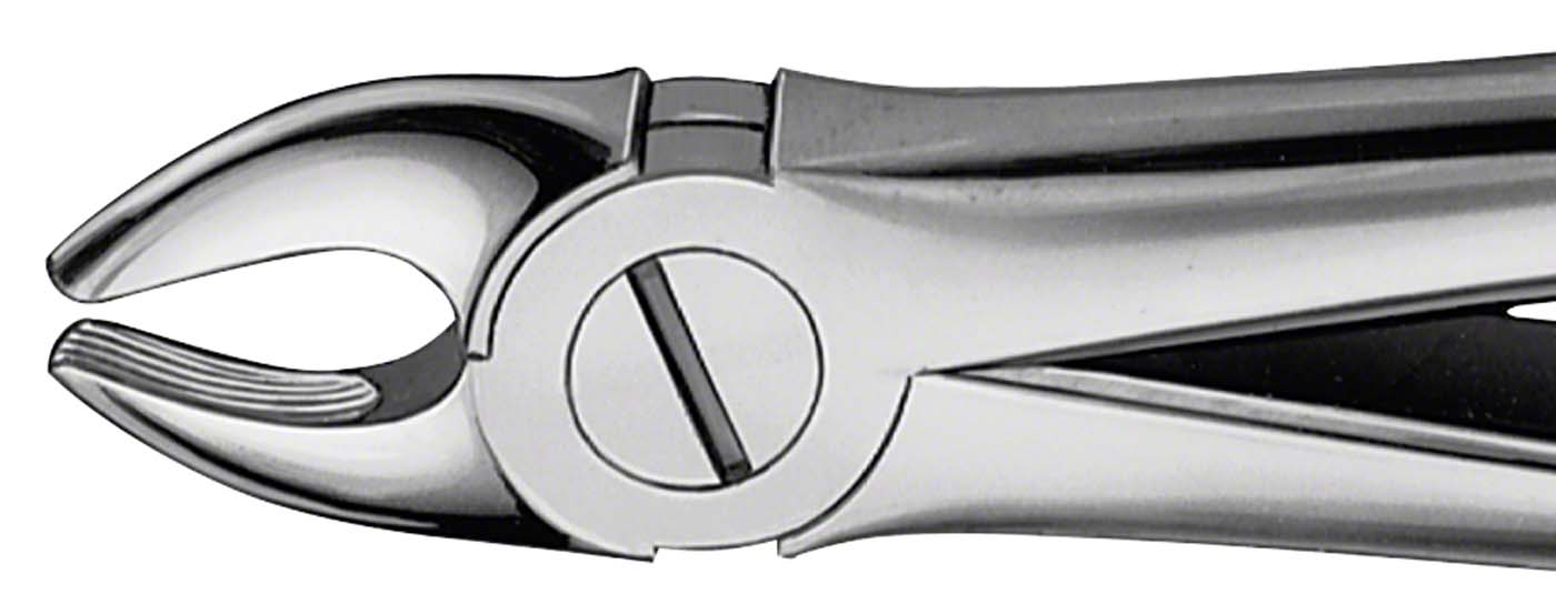 Anatomica-Zahnzangen DG250R, für obere Weisheitszähne, schmal | Zangen ...