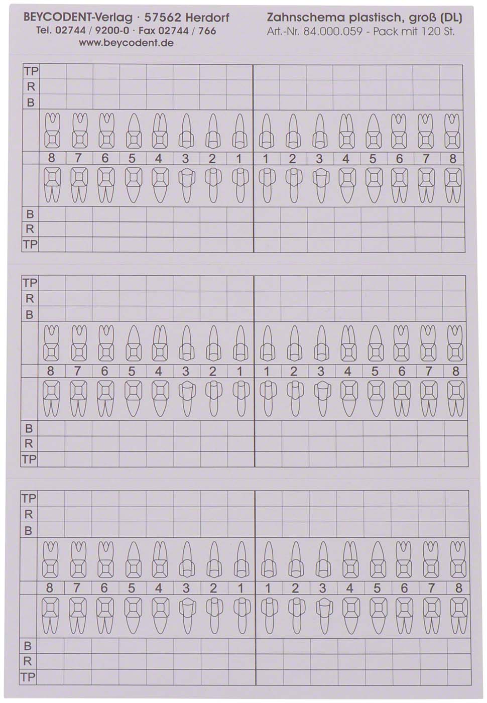 Zahnschema plastisch groß 120 Stück 140 x 65 mm | Organisationssysteme ...