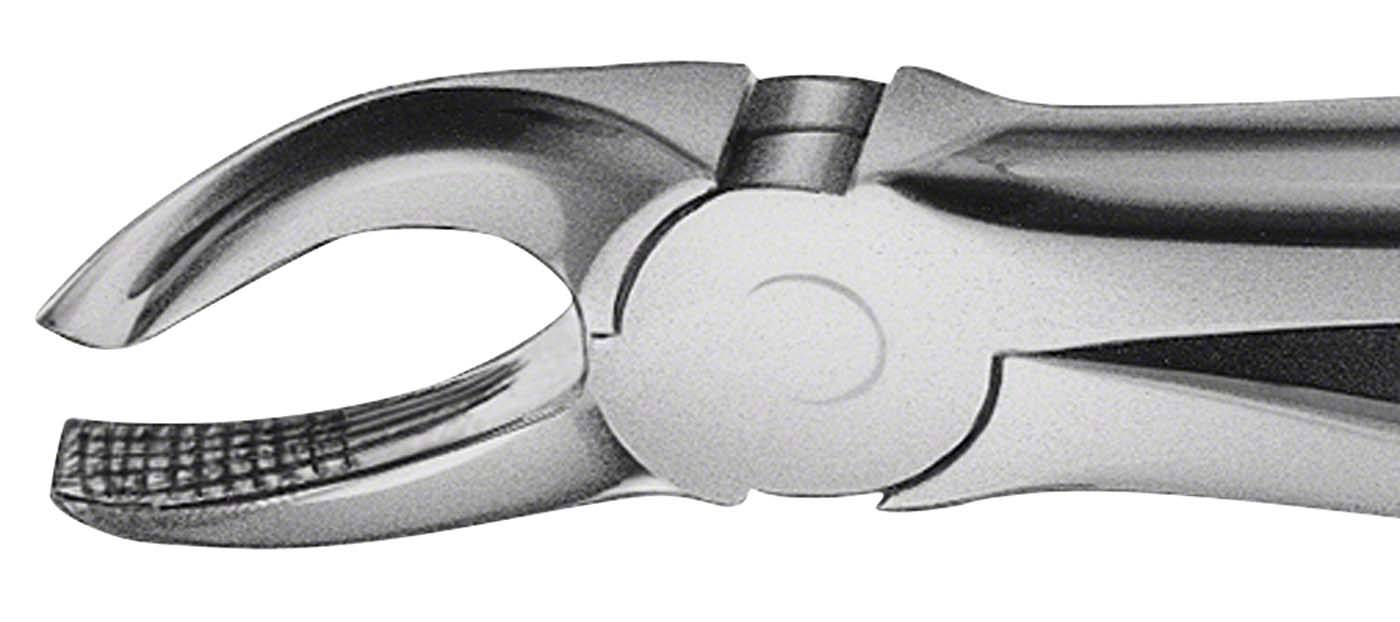 Anatomica-Zahnzangen nach Büchs DH717R, für obere Molaren, rechts ...